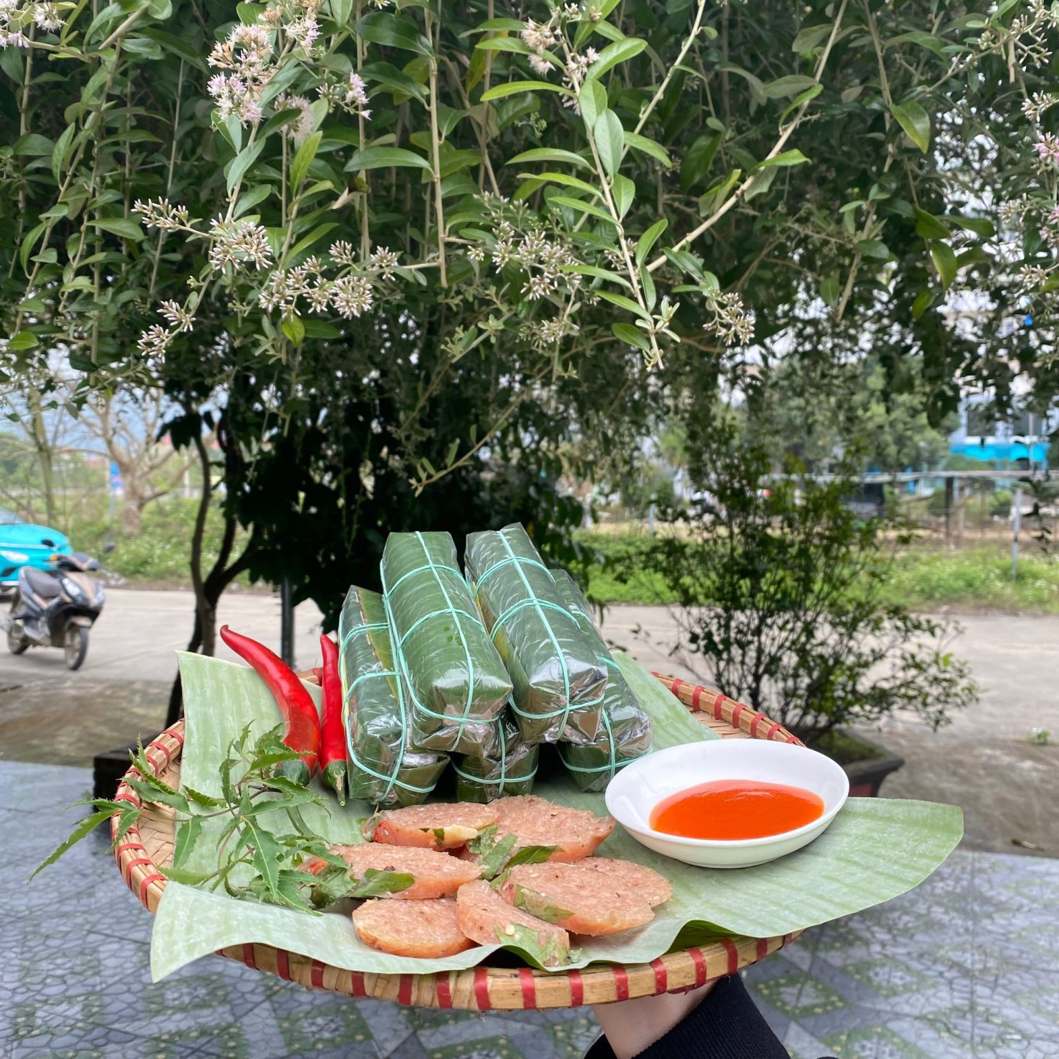 Nem nướng Thanh Hóa, Nem Chua Nướng Thanh Hoá Giá Rẻ Đặc Sản Thọ Xuân ...